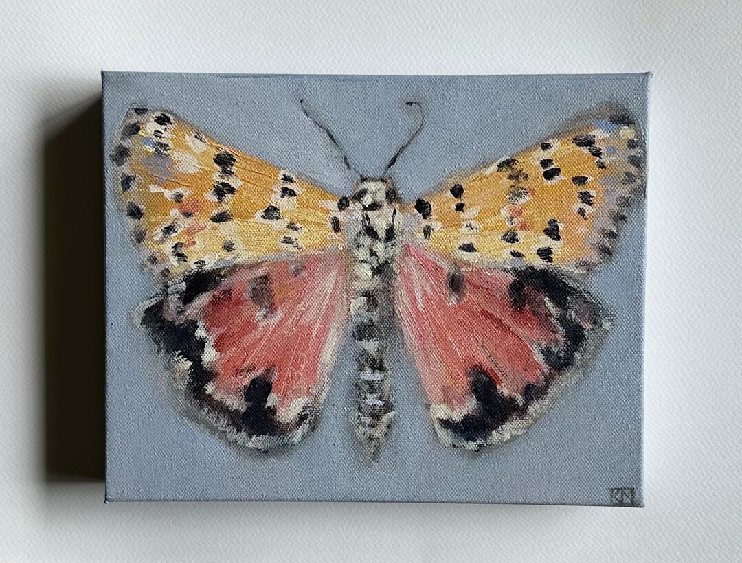 Bella Moth 8x10 Original Artwork Hand Painted Original - Etsy
