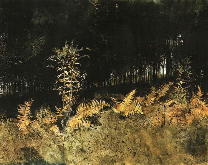 Andrew Wyeth: "spruce Grove", Extremely Rare Vintage Bookplate Print ...