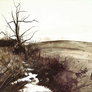 Andrew Wyeth: “tree in Winter", Extremely Rare Vintage Bookplate Print ...