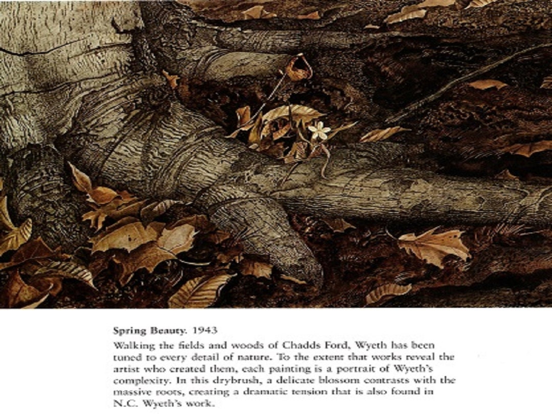 Andrew Wyeth: "spring Beauty", Extremely Rare Original Vintage ...
