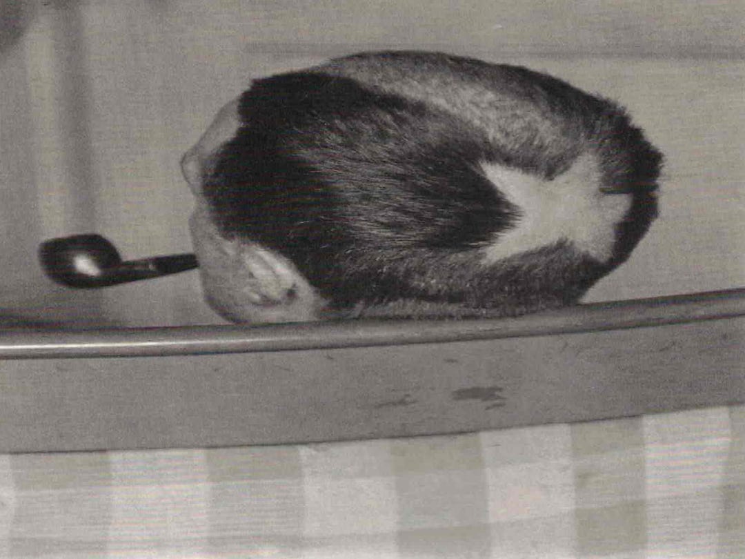 Man Ray: marcel Duchamp, Extremely Rare Vintage Bookplate Print ...