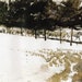 Andrew Wyeth: "bull Run", Extremely Rare Original Bookplate Print ...