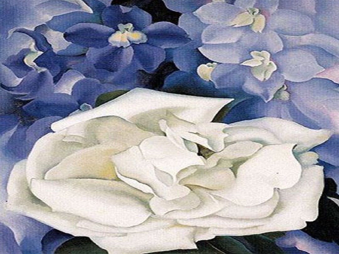 Georgia Okeeffe: white Rose With Larkspur 1, Extremely Rare Vintage ...