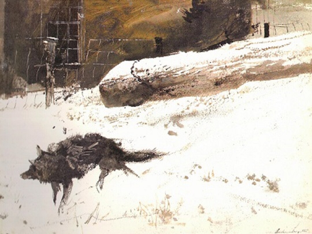 Andrew Wyeth: “wild Dog", Extremely Rare Vintage Bookplate Print ...
