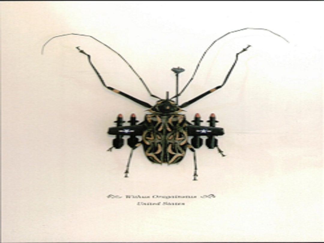 Banksy: “beetle", Extremely Rare Original Bookplate Print, Painting ...
