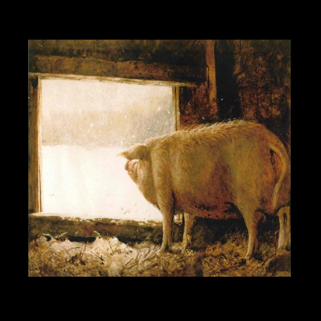Jamie Wyeth: "winter Pig", Extremely Rare Original Bookplate Print ...