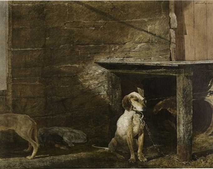 Andrew Wyeth: "raccoon", Very Rare Original Full Page Bookplate Print ...
