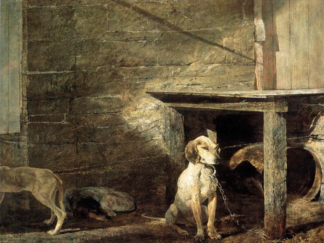 Andrew Wyeth: "raccoon", Extremely Rare Original Bookplate Print ...