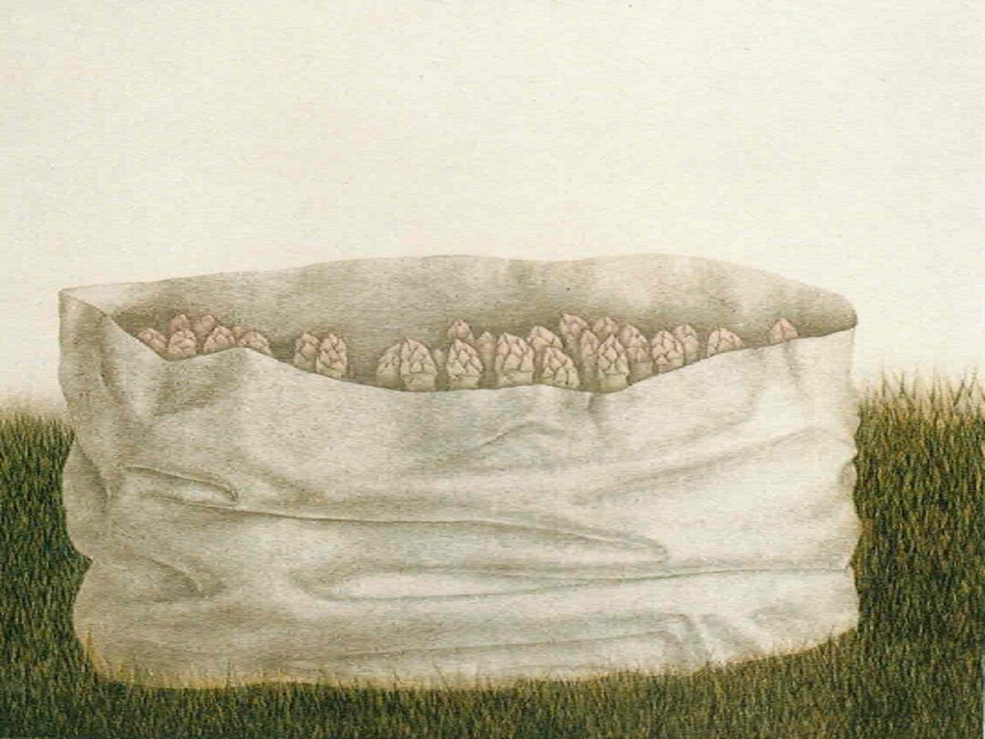 K.B. Hwang: "asparagus", Extremely Rare Original Vintage Bookplate ...