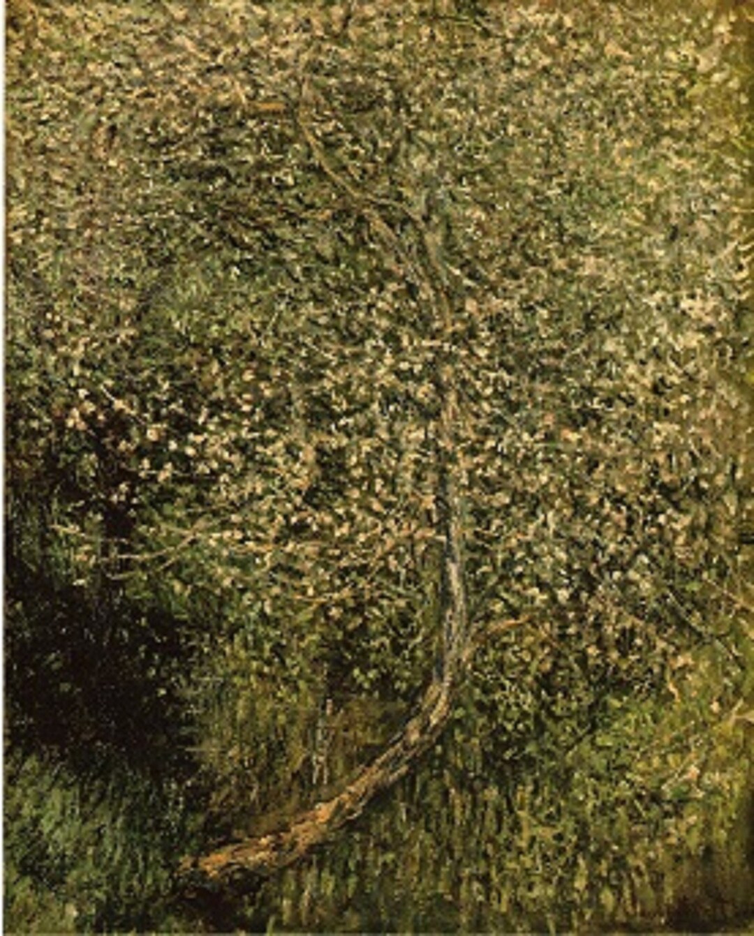 Claude Monet: apple Trees in Blossom, Very Rare Vintage Bookplate Print ...