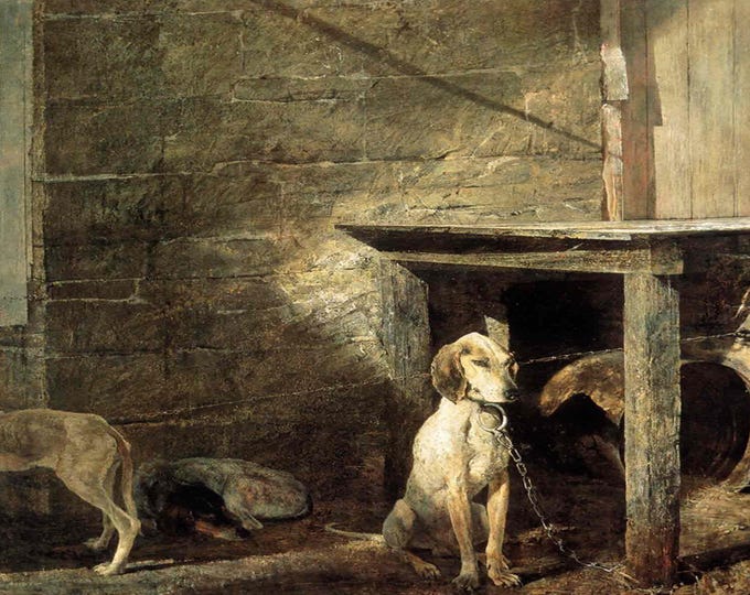 Andrew Wyeth: "raccoon", Extremely Rare Original Bookplate Print ...