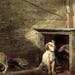Andrew Wyeth: "raccoon", Extremely Rare Original Bookplate Print ...