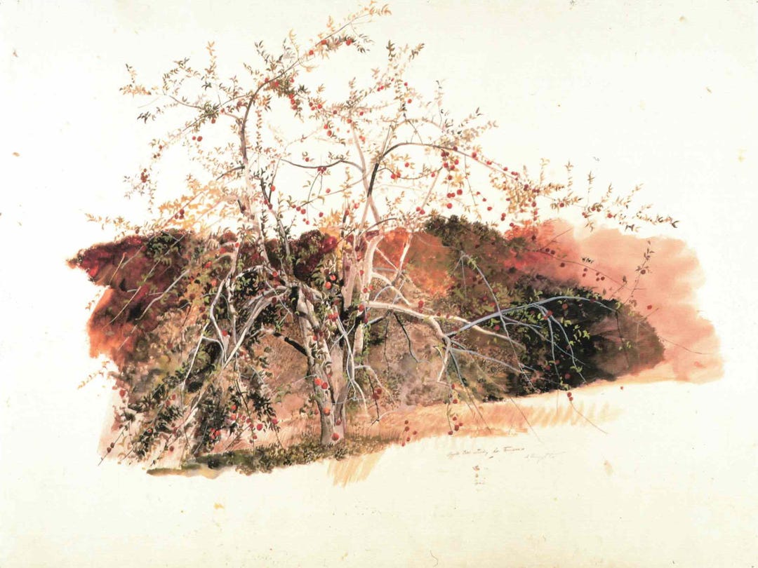 Andrew Wyeth: "before Picking", Extremely Rare Vintage Bookplate Print ...