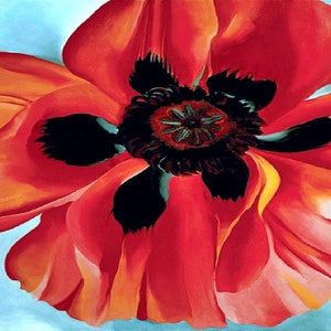 Georgia O’keeffe: “red Poppy #vi", Extremely Rare Vintage Full Page ...