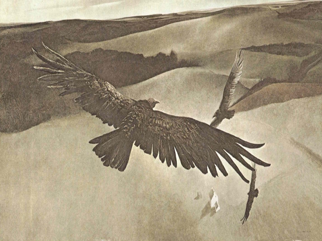 Andrew Wyeth: "soaring", Extremely Rare Vintage Bookplate Print ...