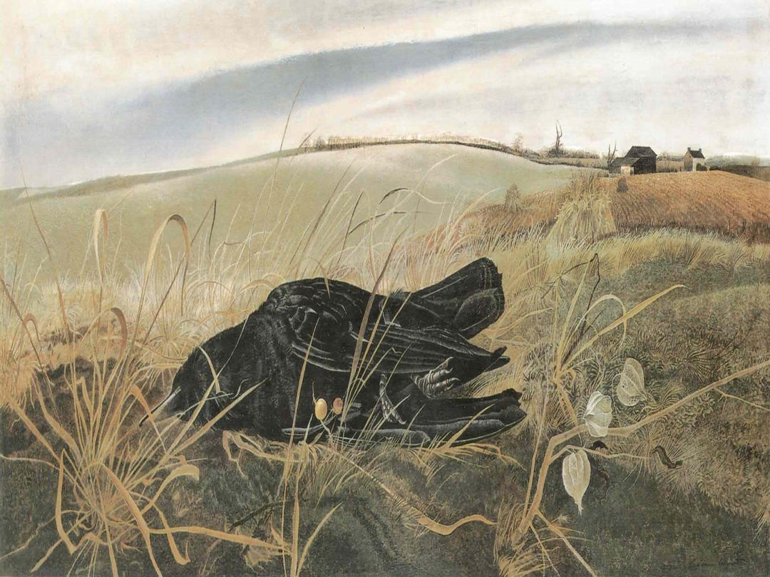 Andrew Wyeth: "winter Fields", Extremely Rare Vintage Bookplate Print ...