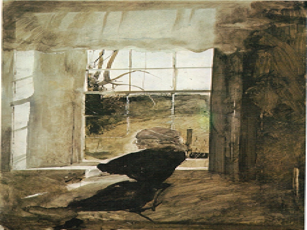 Andrew Wyeth: “anna Seated", Extremely Rare Vintage Bookplate Print ...