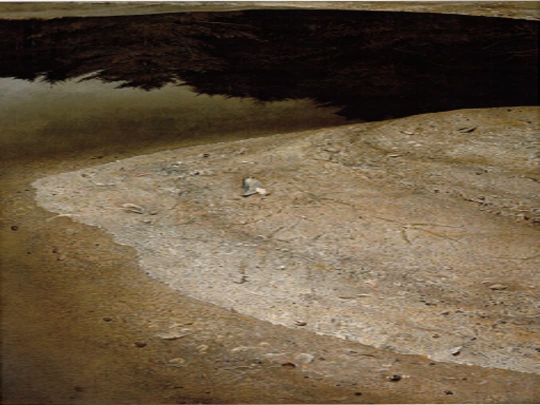 Andrew Wyeth: river Cove, Extremely Rare Original, New Bookplate Print ...