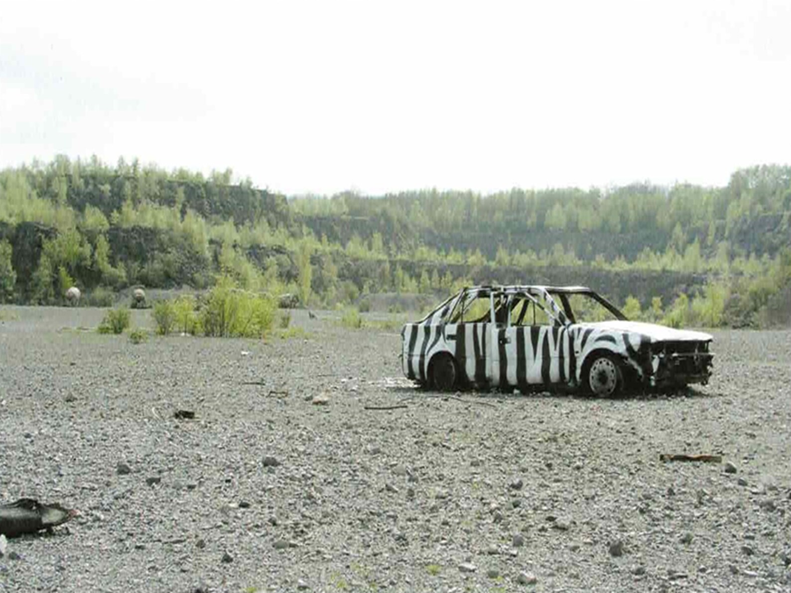 Banksy: zebra Car, Extremely Rare Original Bookplate Print, Media Circa ...