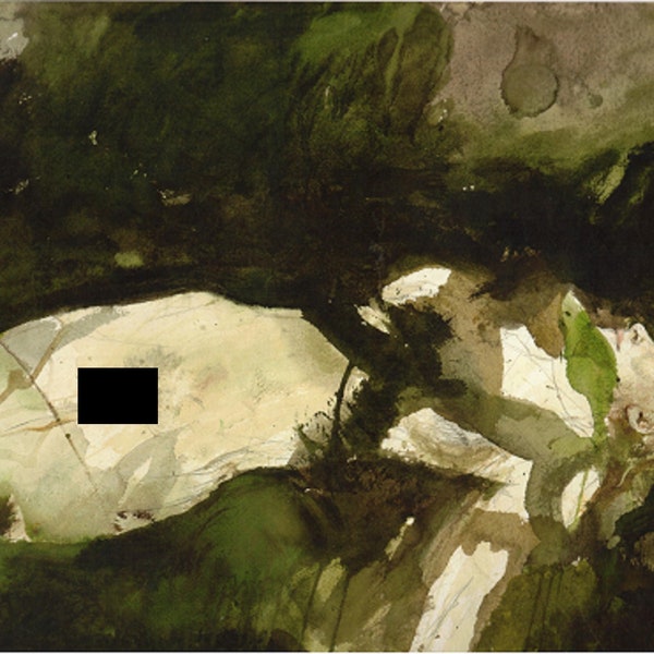 Andrew Wyeth Nude - Etsy