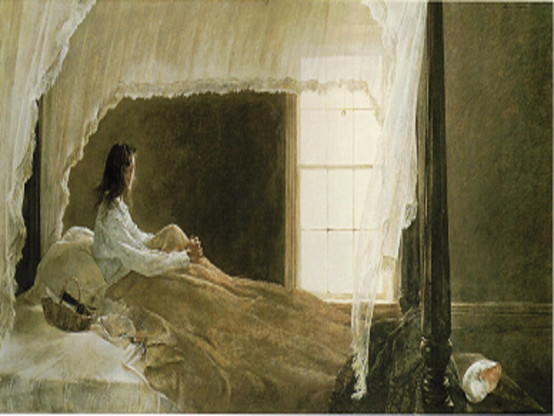 Andrew Wyeth: chambered Nautilus Extremely Rare - Etsy