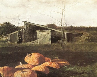 Andrew Wyeth: raccoon, Extremely Rare Original Bookplate Print ...