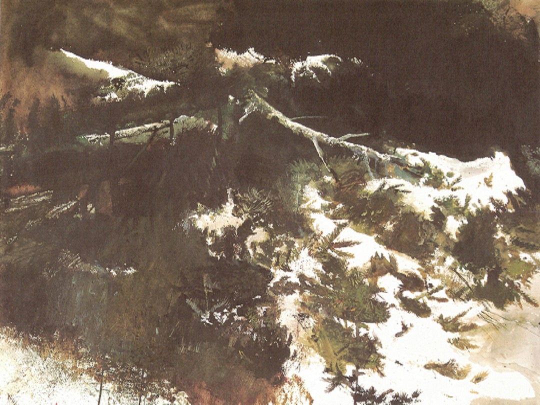 Andrew Wyeth: “spruce Bough", Extremely Rare Vintage Bookplate Print ...