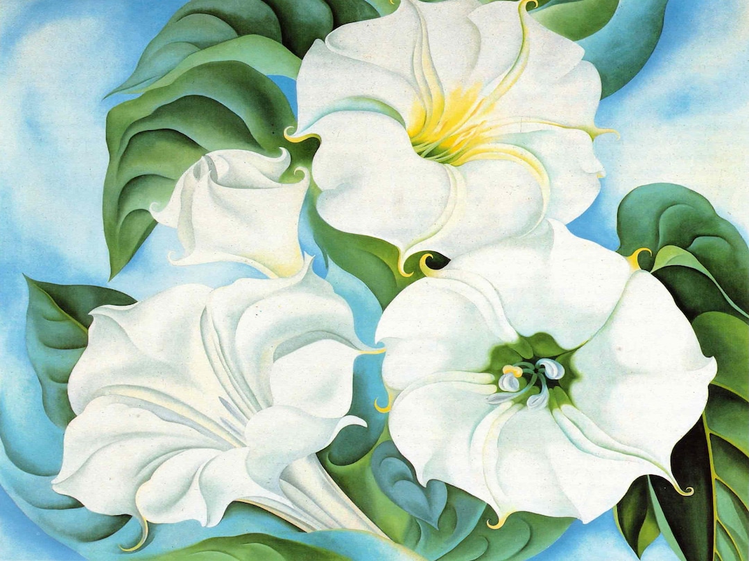 Georgia O’keeffe: "jimson Weed", Extremely Rare Vintage Bookplate Print ...