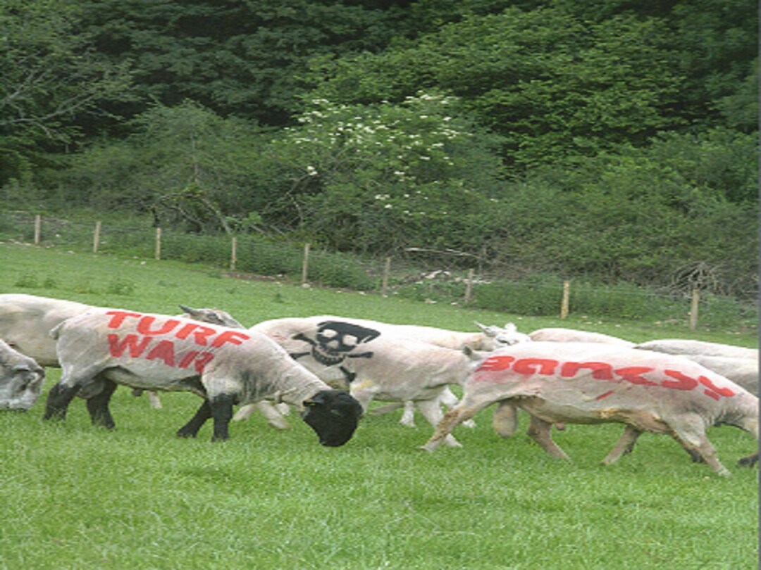 Banksy: “turf War Sheep", Extremely Rare Full Page Bookplate Print ...