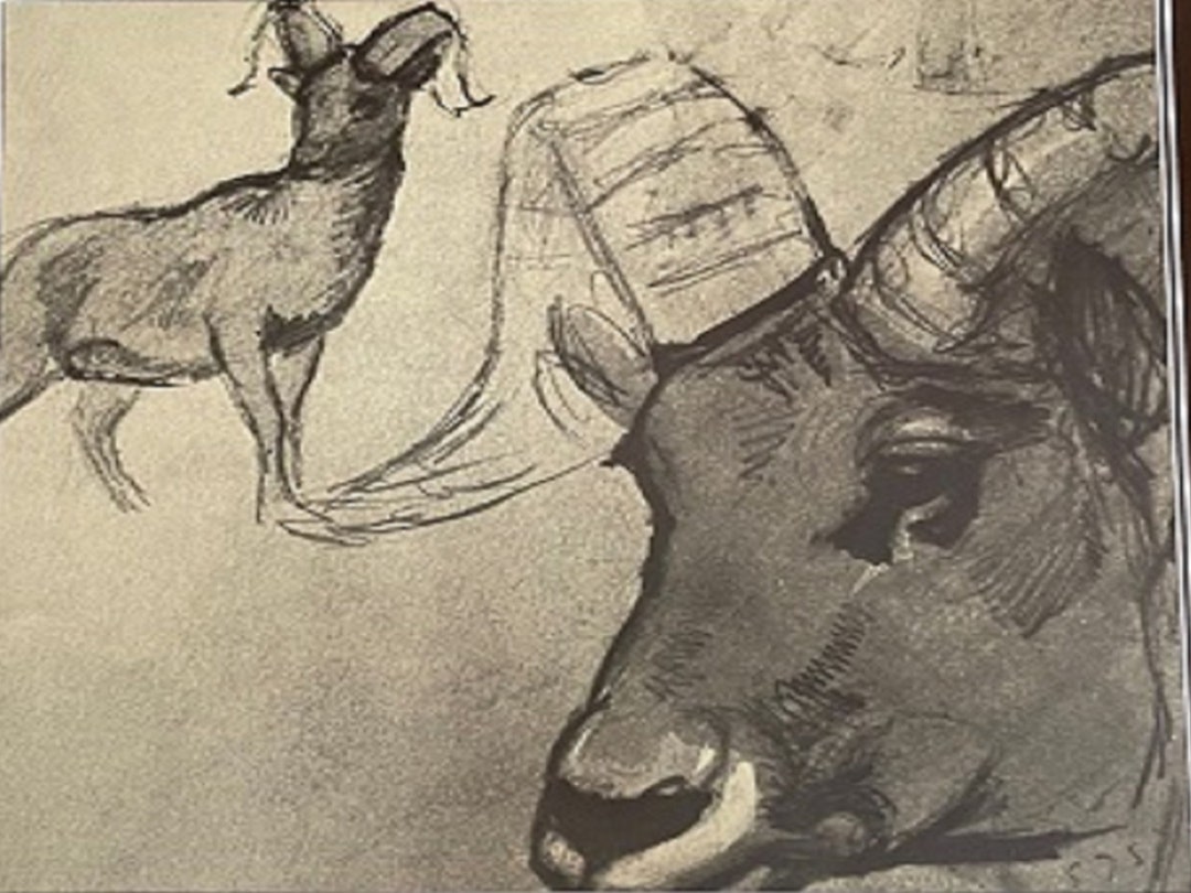 Ernest Thompson Seton: “study of Rocky Mountain Big Horn Sheep ...