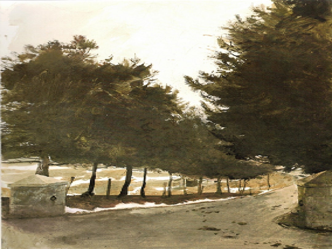 Andrew Wyeth: “untitled, 1972", Extremely Rare Vintage Bookplate Print ...