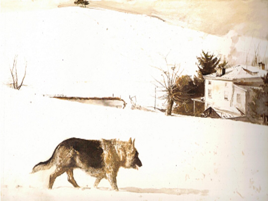 Andrew Wyeth: “the Prowler", Extremely Rare Vintage Bookplate Print ...