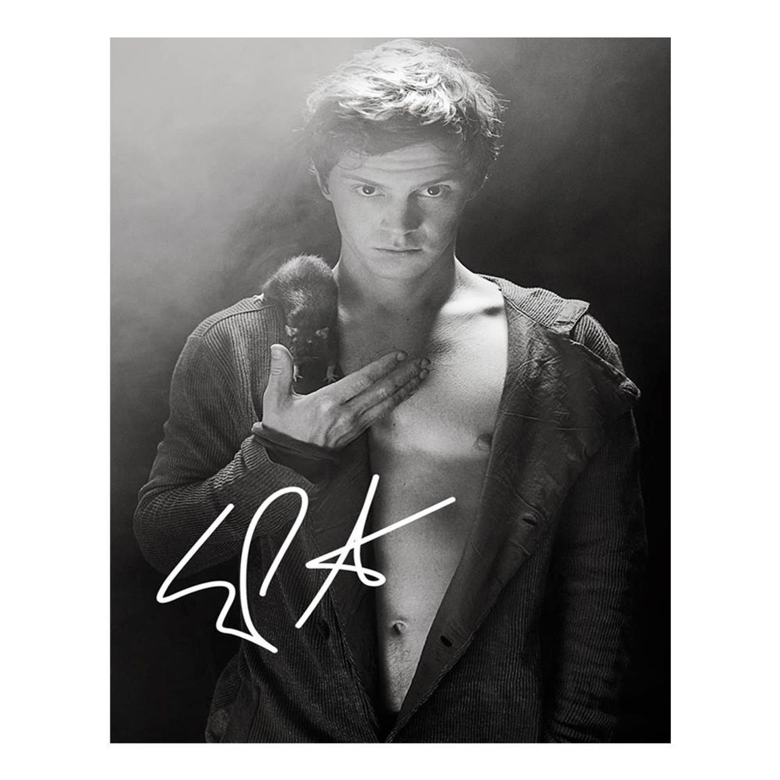 Evan Peters Pre Signed Photo Print Poster - 12x8 Inches (30cm X 20cm ...
