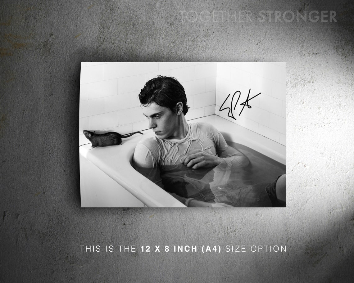 Evan Peters Pre Signed Photo Print Poster 12x8 Inches 30cm - Etsy