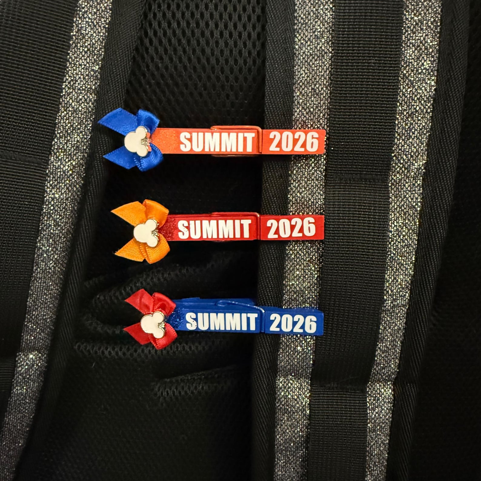 Summit 2026 Bid Day Team Gifts • Cheer Summit Pins • Disney Cheer ...