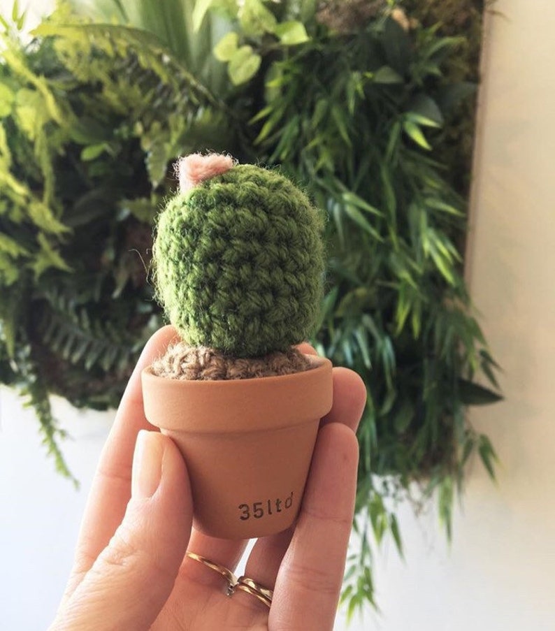 Mini Crochet Cactus / Handmade / Decor / Cute / Cactus / Cacti - Etsy ...