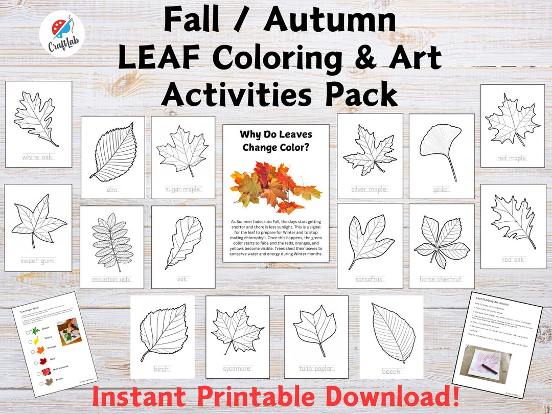Fall Autumn Leaf Coloring Printable Pages - Leaves for Tracing - Kids ...