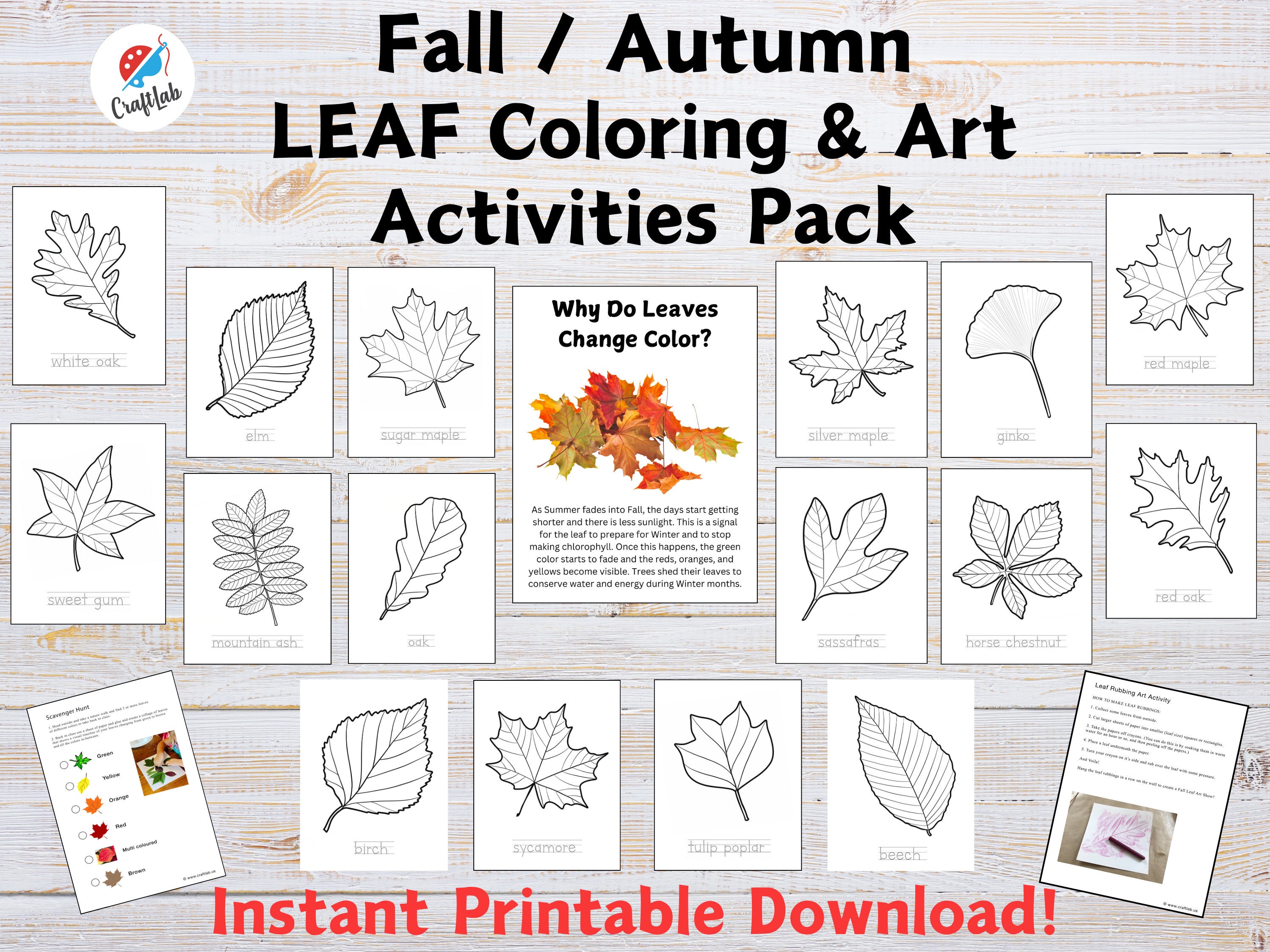 Fall Autumn Leaf Coloring Printable Pages - Leaves for Tracing - Kids ...