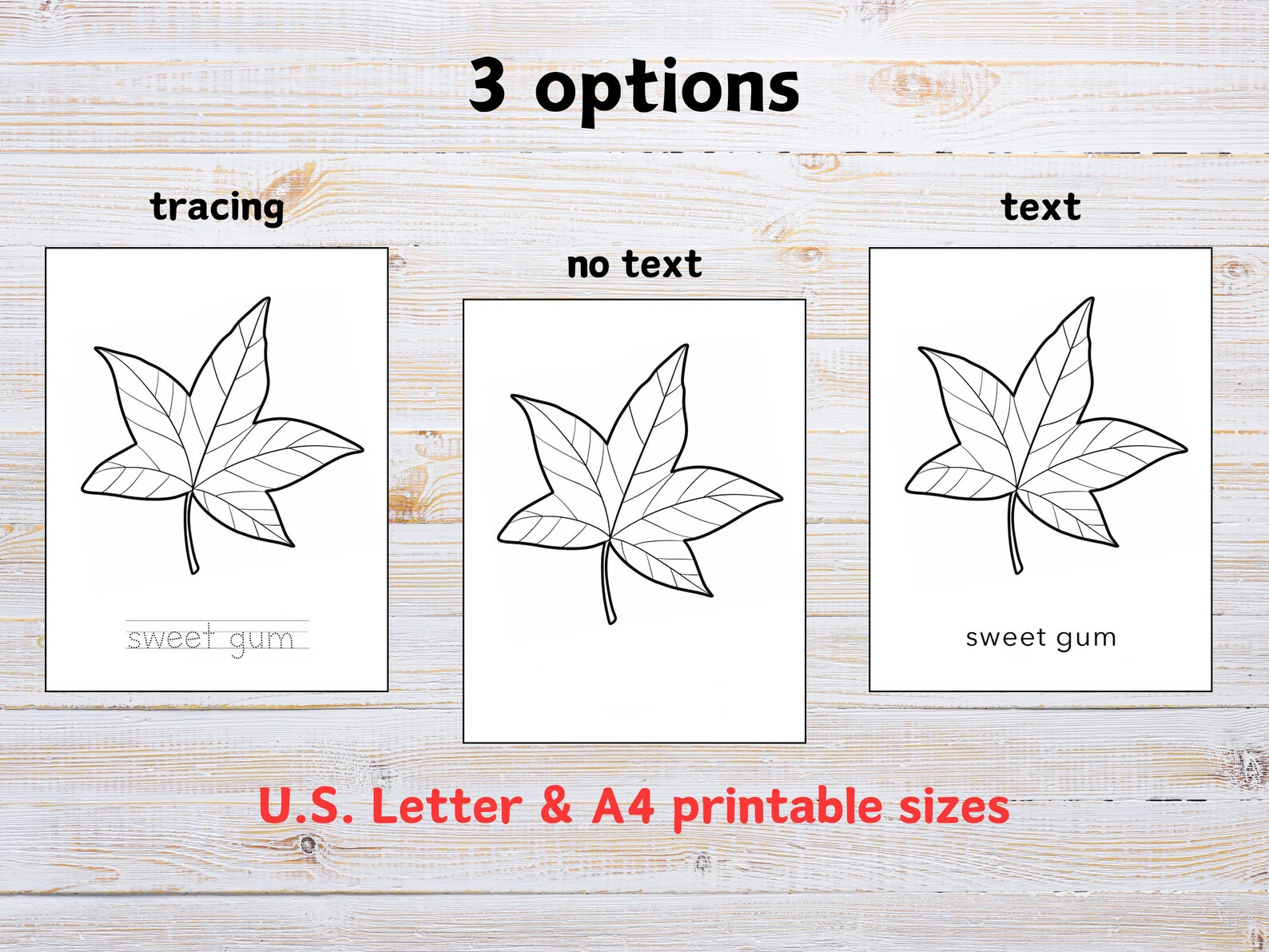 Fall Autumn Leaf Coloring Printable Pages - Leaves for Tracing - Kids ...