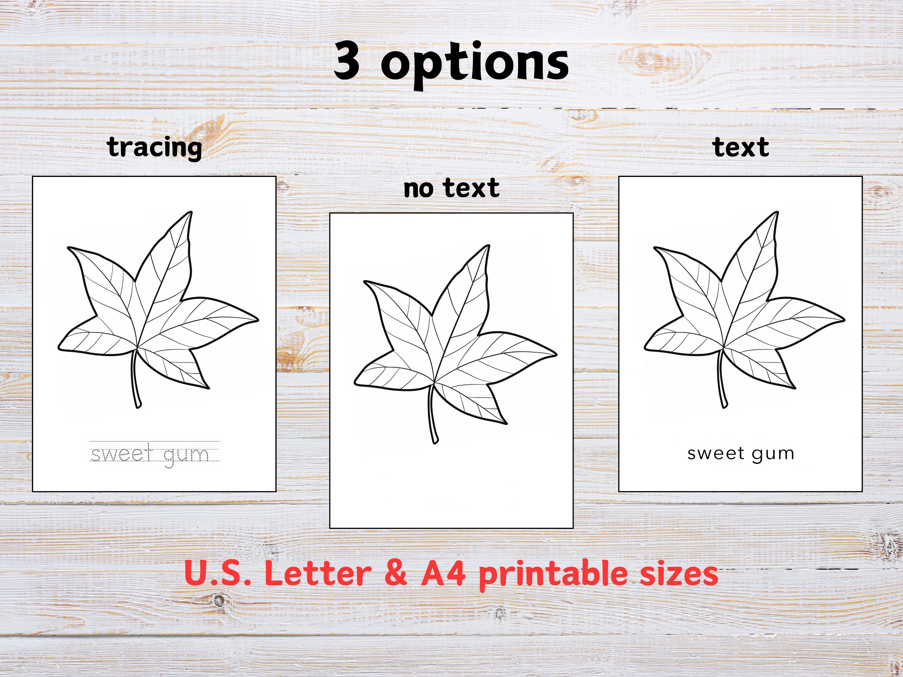 Fall Autumn Leaf Coloring Printable Pages - Leaves for Tracing - Kids ...