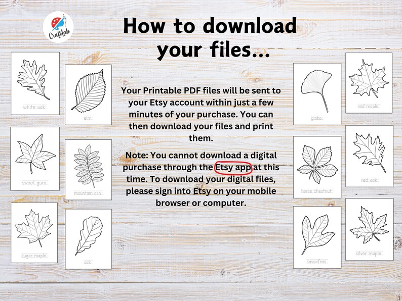 Fall Autumn Leaf Coloring Printable Pages - Leaves for Tracing - Kids ...