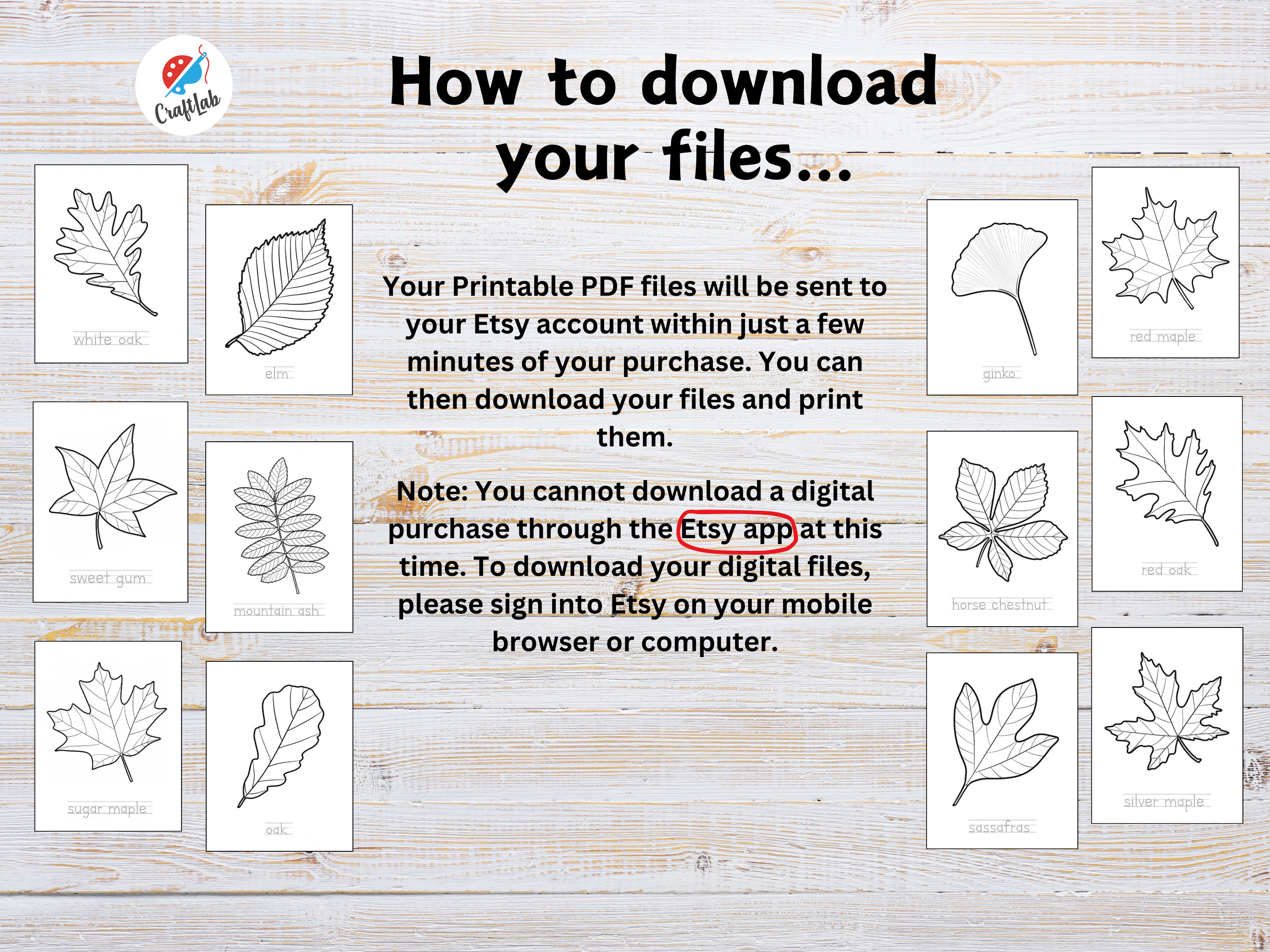 Fall Autumn Leaf Coloring Printable Pages - Leaves for Tracing - Kids ...