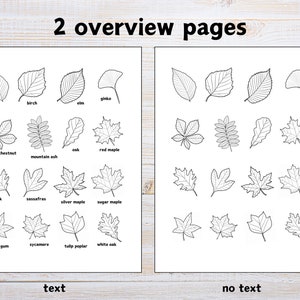 Fall Autumn Leaf Coloring Printable Pages - Leaves for Tracing - Kids ...