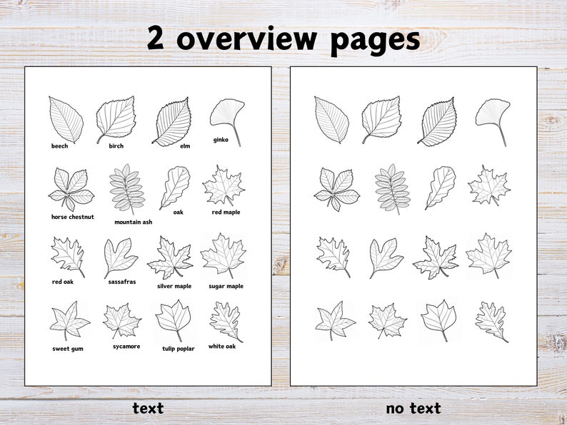 Fall Autumn Leaf Coloring Printable Pages - Leaves for Tracing - Kids ...