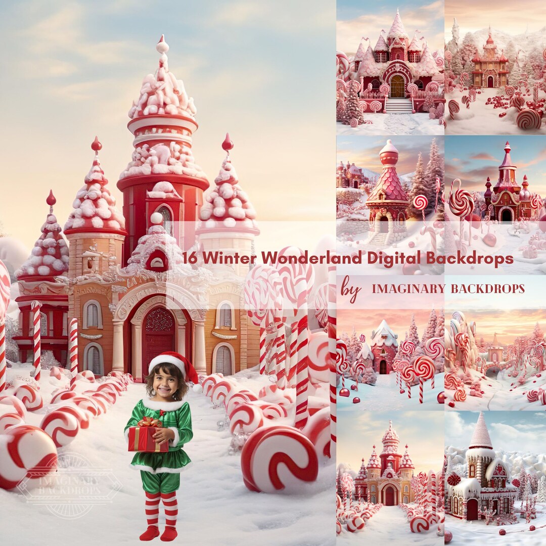 16 Winter Wonderland Digital Backdrops, Christmas Digital Photography ...