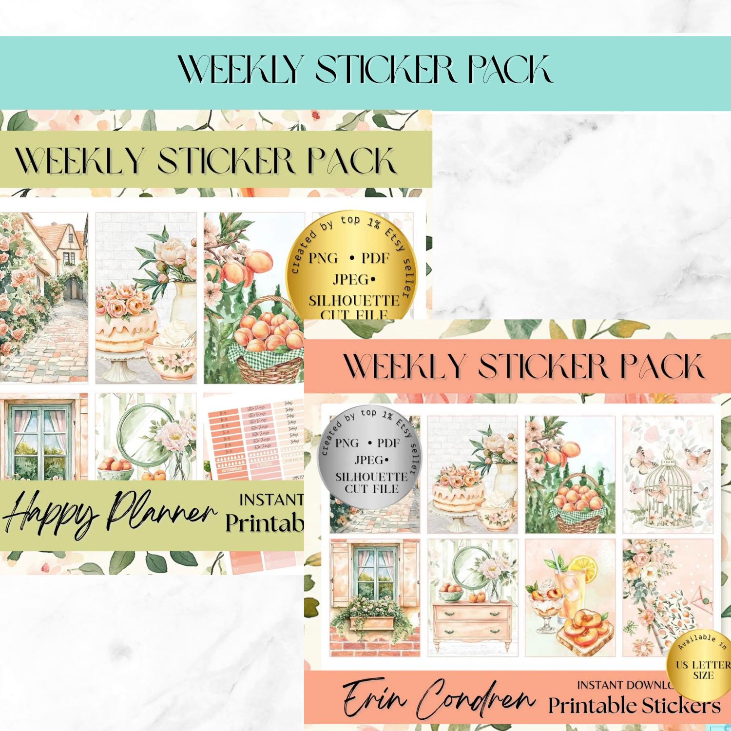 ANY 8 PRINTABLE Planner Sticker Bundle, Erin Condren Monthly Weekly ...