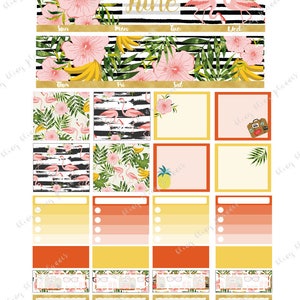 JUNE MONTHLY KIT, Monthly Planner Kit, Flamingo Sticker, June Monthly ...