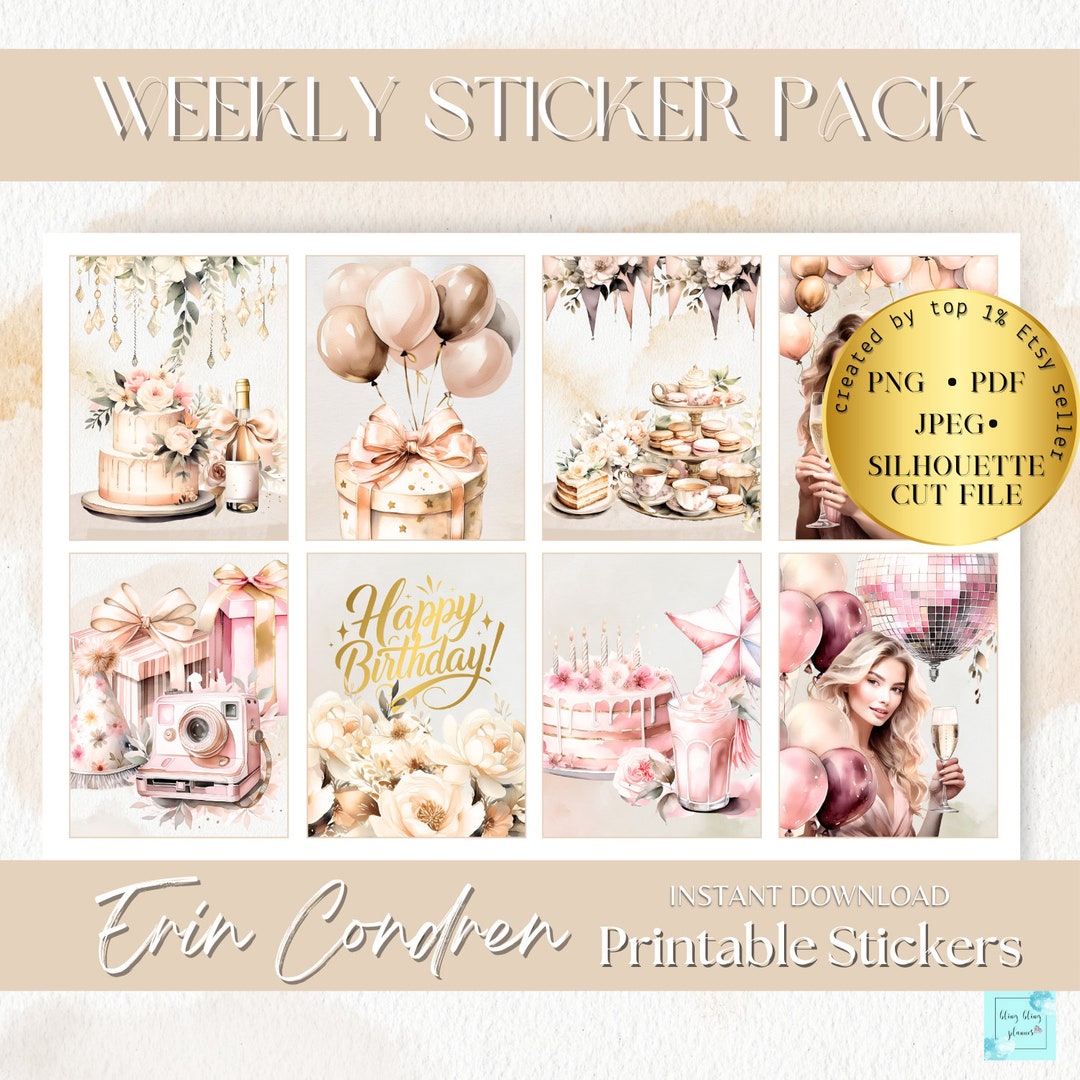 BIRTHDAY PLANNER Printable, Birthday Planner Sticker, Celebration ...