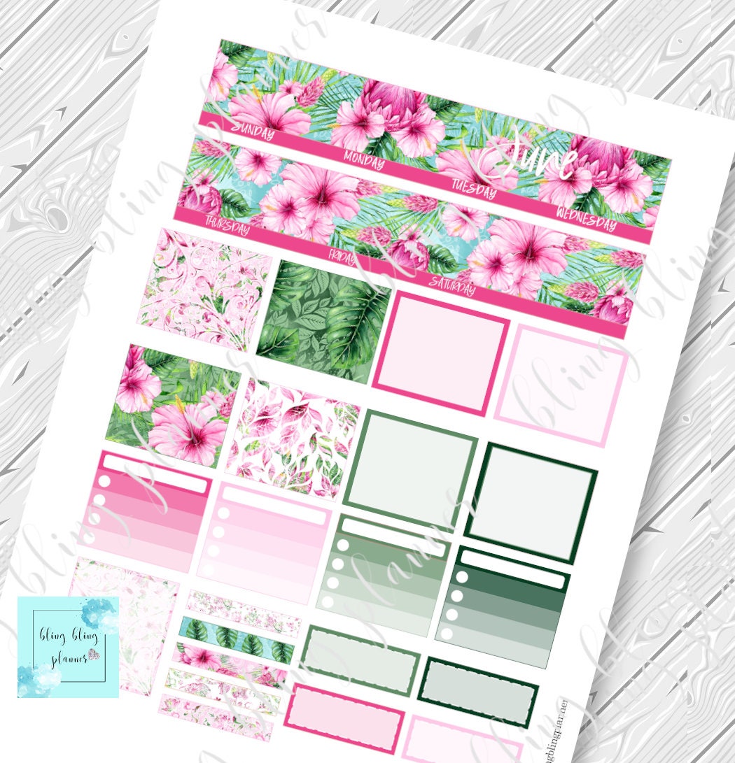 JUNE MONTHLY VIEW, Summer Monthly Kit, June Printable Planner Sticker ...
