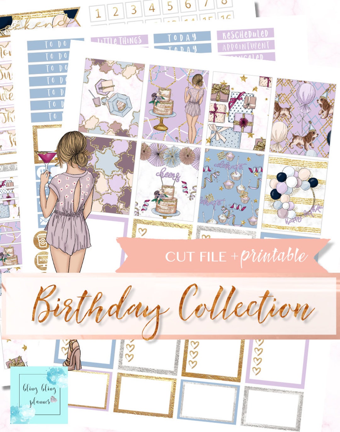 BIRTHDAY PRINTABLE Planner STICKERS, Birthday Planner Kit, Party ...